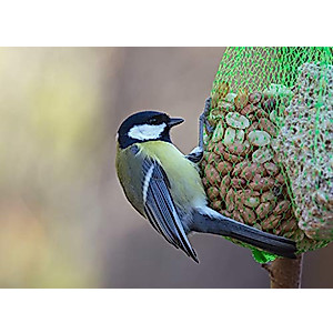 Valley Farms Peanut Kernels - Clean & Fresh (Value 2-Pack 8 LBS Total)