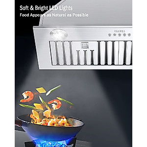 EALLMALL Range Hood Insert 30 Inch, 770 CFM Range Hood Insert, Ducted/Ductless Insert Range Hood, 3-Speed Vent Hood Insert, Stainless Steel Hood Range Insert, Built In range Hood, Kitchen Hood,FC-30-1