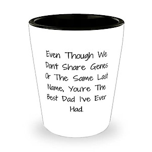 Useful Stepfather Shot Glass, Even Though We Don't Share Genes Or The Same Last Name, You, Sarcastic for Father, Father's Day