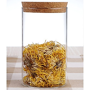 VASANA 2PCS Glass Food Storage Containers 300ml/10oz Kitchen Storage Containers With Cork Lids Empty Clear Glass Bottles for Coffee Bean Dry Goods Tea Storage