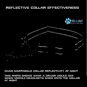 Max and Neo Stainless Steel Chain Martingale Collar - We Donate a Collar to a Dog Rescue for Every Collar Sold (Medium, Blue)