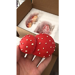 NUOLUTH Glow-in-The-Dark Mushroom, Lawn Ornaments, Set of 3 Mushroom Shelf Wall Decor - Mushroom Tree Decorations Outdoor, Mushroom Statue Figurines, Fairy Garden Decor Accessories