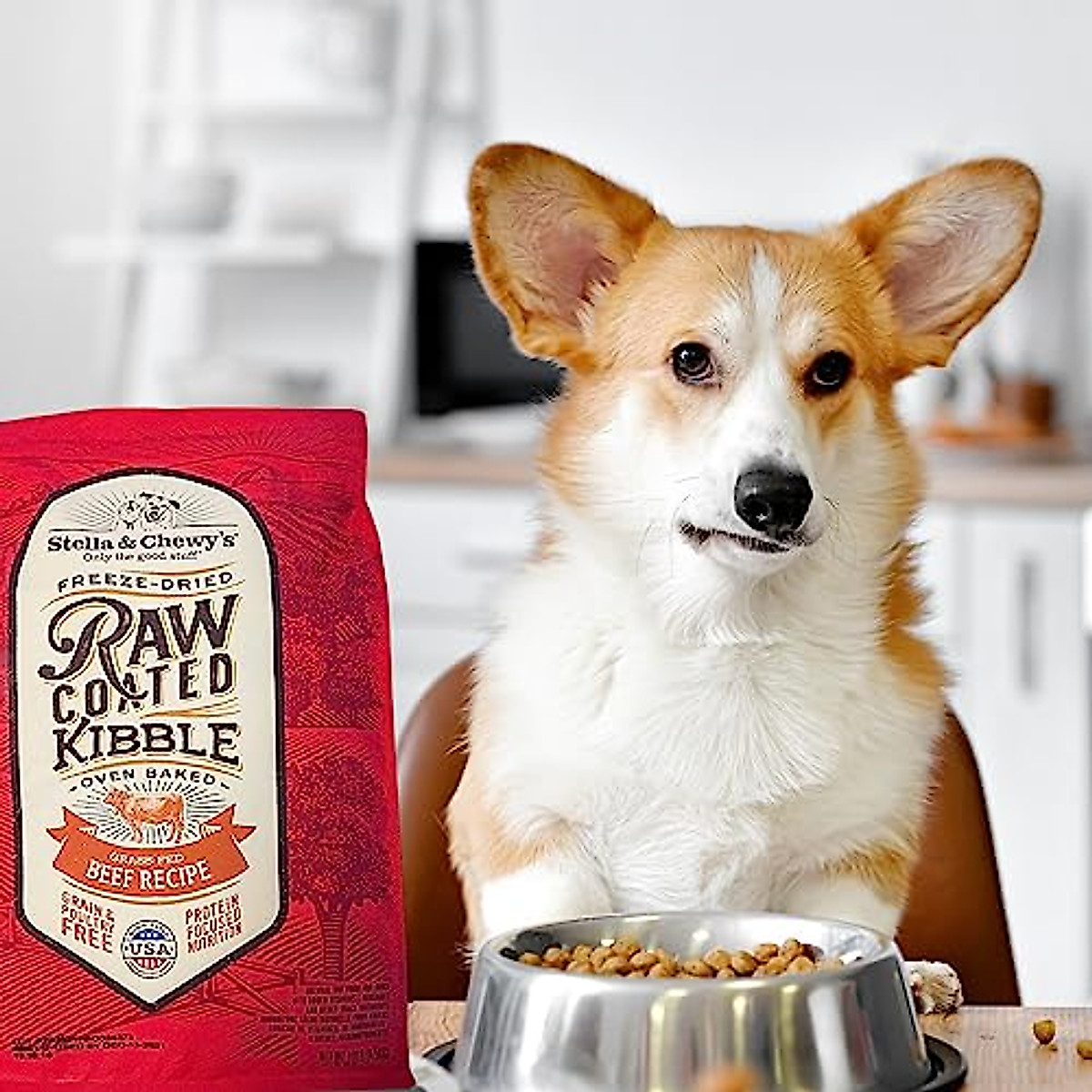 Stella & Chewy's Raw Coated Beef Recipe Dog Food 10lb