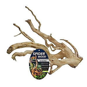Zoo Med Spider Wood, Small, Perfect for Aquariums and Terrariums, 690857, Small/8-12 Inch