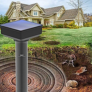 Winpest Snake Away Repellent Safe for Dogs, Solar Powered Snake Repellent for Yard, Get Rid of Snakes Snake Gone - 2 Pack