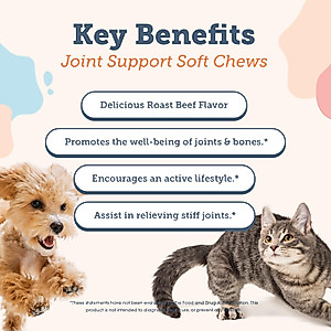 Paw Rangers Joint Chews for Pets 90Ct. - Chondroitin, Glucosamine for Dogs and Cats: Cat and Dog Vitamins: Hip and Joint Support Supplement for Dogs and Cats - Pet Supplies:Cat & Dog Joint Supplement