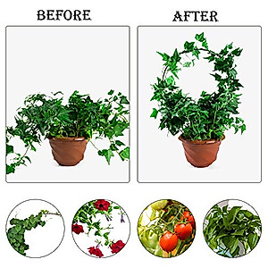 2 Pack Black Iron Garden Trellis for Climbing Plants- 13" Rust Free Vine Plant Metal Support Wire with Black Coating Decorative Potted Plants Climbing Holder Rack for Garden Stem Stalks Vines (Round)