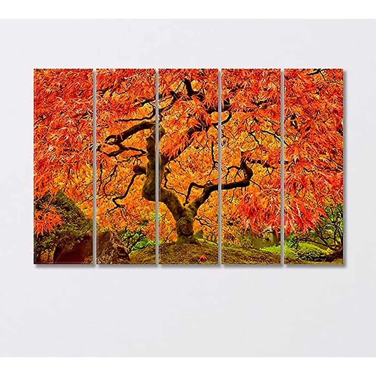 Japanese Maple in Autumn Canvas Print 5 Panels / 36x24 inches