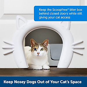 PetSafe ScoopFree Self Cleaning Cat Litter Box & Cat Corridor - Interior Cat Door Keeps ScoopFree Litter Box Hidden From Guests and Dogs - Private Access For Your Cat - Never Scoop Litter Again