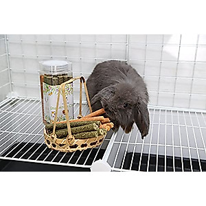 VCZONE Rabbit Chew Toys for Teeth, Timothy Grass Carrot Sticks for Guinea Pig Hamster Chinchilla Squirrel Bunny Small Animals (Timothy + Carrot)