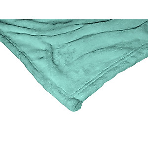 Northwest Looney Tunes Silk Touch Throw Blanket, 50" x 60", Come at Me Bro