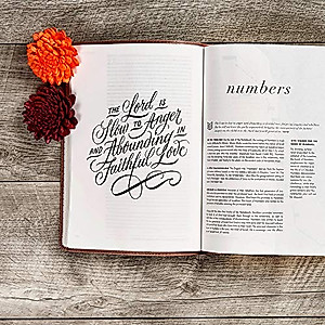 CSB She Reads Truth Bible, Rose Gold LeatherTouch, Black Letter, Full-Color Design, Wide Margins, Journaling Space, Devotionals, Reading Plans, Single-Column, Easy-to-Read Bible Serif Type