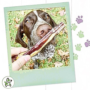 Nature Gnaws Mixed Bully Sticks for Small Dogs - Premium Natural Tasty Beef Bones - Simple Long Lasting Dog Chew Treats - Rawhide Free - 6 Inch