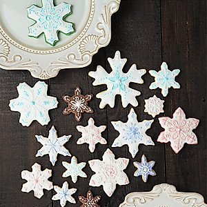 Snowflake Cookie Cutter Set of 10 pcs, Stainless Steel Snowflake Shaped Christmas Cookie Cutters Fondant Baking Molds