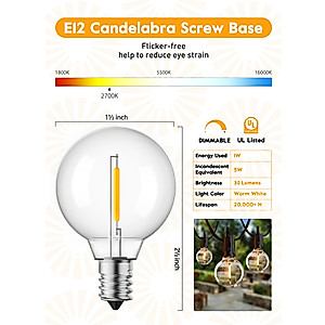 Outdoor String Lights 25 Feet G40 Globe Patio Lights with 27 Edison Glass Bulbs(2 Spare), Waterproof Connectable Hanging Light for Backyard Porch Balcony Party Decor, E12 Socket Base,Black