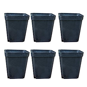 NUOBESTY 2 Inch Black Square Flower Pots Small Plastic Plant Pots 100PCS Square Flower Plant Pots Mini Succulent Pot for Cactus Bonsai