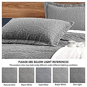Love's cabin King Size Quilt Set Grey Soft Bed Summer Bedspreads - Lightweight Microfiber- Modern Style Coin Pattern Coverlet for All Season - 3 Piece (1 Quilt, 2 Pillow Shams)