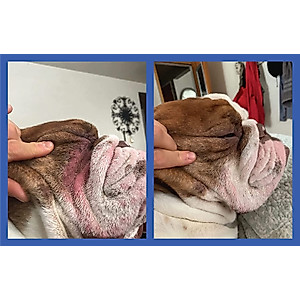 Squishface Tear Stain Paste (2oz) & 5x7 Wipes Bundle - Anti-Itch, Deodorizing, Tear Stain Remover – Great for English Bulldog, Pugs, Frenchie, Bulldogs, French Bulldogs & Any Breed