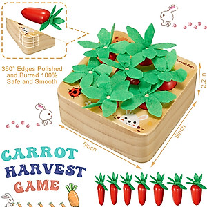 Yunsailing 3 Set Montessori Toys Object Permanence Box with Tray Three Balls Coin Box with Five Coins Carrots Harvest Developmental Game Wooden Toys Montessori Baby Toys for Infant