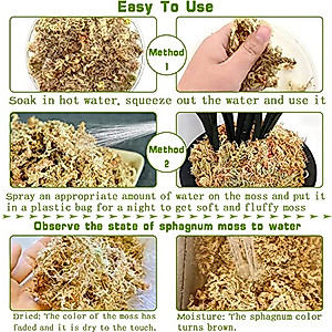 Legigo Natural Sphagnum Moss Potting Mix- Carnivorous Plant Moss Dried for Sarracenia Orchid Gardening Plants 2 Quart Sized Bag(Appx.3oz)
