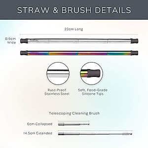 FinalStraw Collapsible, Reusable, Metal Straw | Travel Case, Cleaning Tool | Easy to Clean | Stainless Steel and 100% Silicon Tips | Eco-Friendly | Porpoise-ful Purple Case, Rainbow Stainless Steel