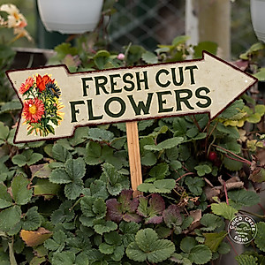 Fresh Cut Flowers Arrow Garden Flowers Gift Shed Spring This Way 5x17 105170008013