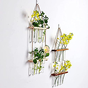 Wall Hanging Planter, 2 Tiered Plant Propagation Stations Plant Terrarium with Wooden Stand, Glass Planter Test Tube Vase for Propagating Hydroponic Plants Home Decor