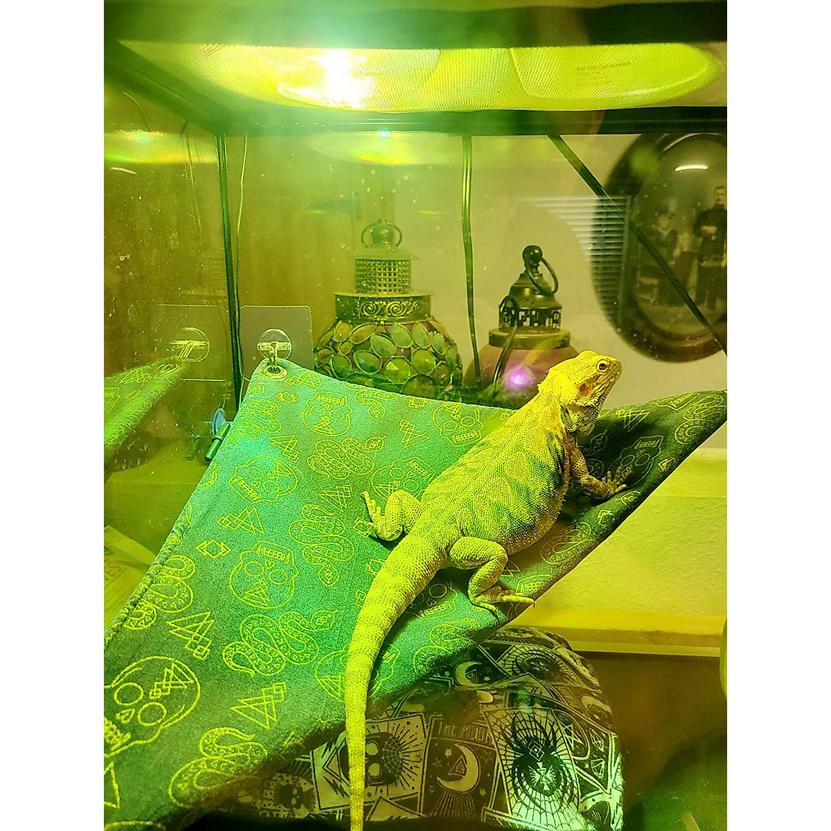 Familite PAR38 Halogen Flood Light Bulbs 75W 1000LM Dimmable Warm White for Reptiles Heating and 6” Recessed Cans Flood Lighting Indoor Outdoor, 4pcs Packed