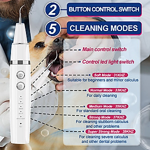 Ninieleph Teeth Cleaner for Dogs, Dog Teeth Cleaning, Dog Ultrasonic Tartar Remover, Keep Dog Teeth Health. (White)