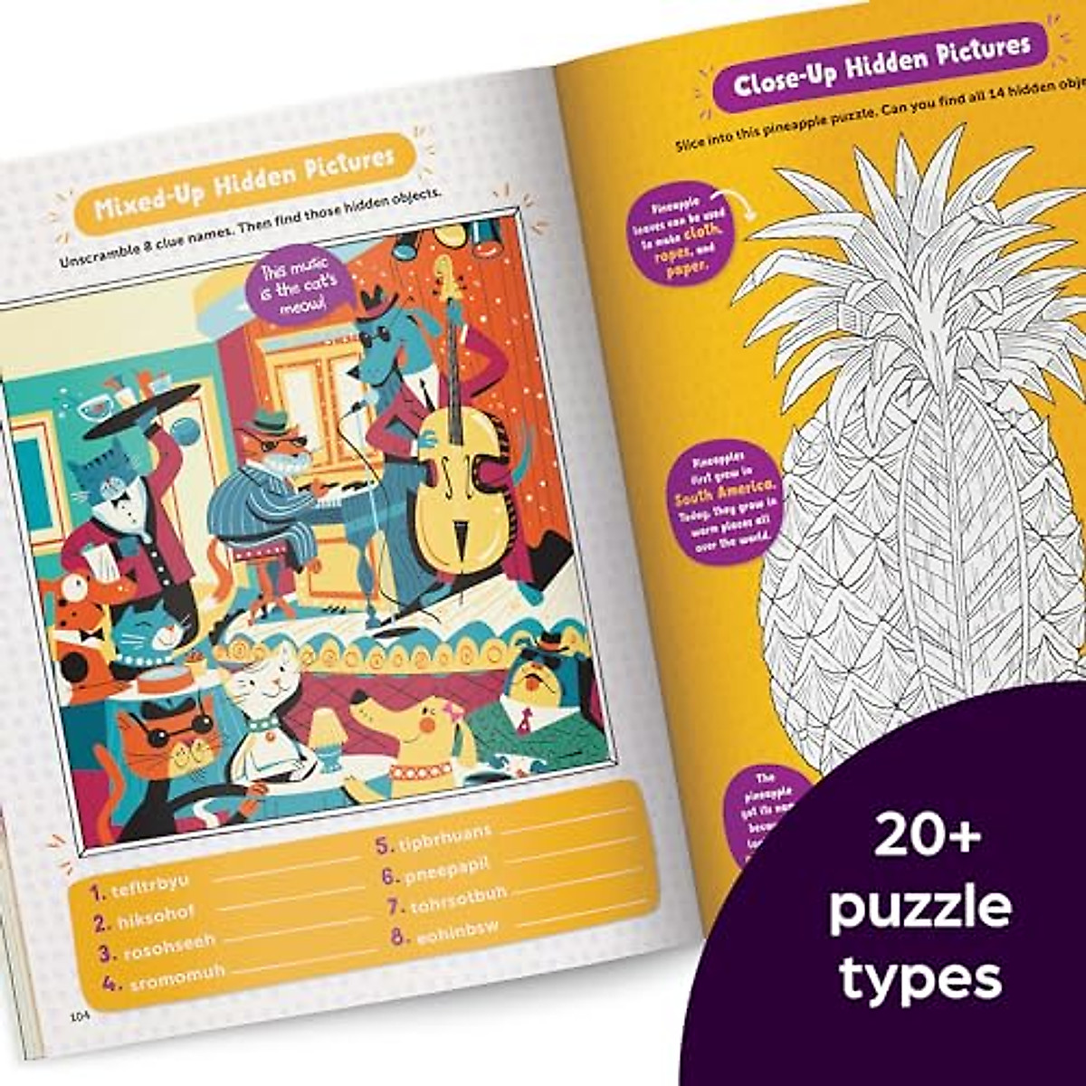 Best Hidden Pictures Puzzles EVER: Find Over 1,550 Hidden Objects in Highlights Best Collection of Hidden Pictures Puzzles, 20 Types of Puzzles and More (Highlights Hidden Pictures)