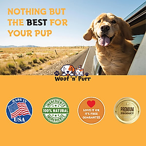 Natural Dog Dandruff Treatment - Supports a Health Skin & Coat, & Dandruff Relief - Dog Dry Skin - Dog Dry Skin Treatment - Dog Skin and Coat Supplement - Skin and Coat Supplement for Dogs - 1 fl oz