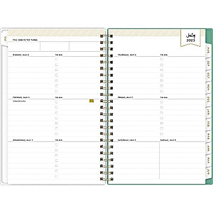 Blue Sky Day Designer for 2023-2024 Academic Year Weekly and Monthly Planner, 5' x 8', Frosted Flexible Cover, Wirebound, Palms (137892-A24)