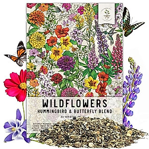 Seed Needs, Package of 15,000+ Hummingbird and Butterfly Garden Wildflower Seed Mixture for Planting (99% Pure Live Seed- NO Filler) 20+ Varieties, Annual Perennial - Bulk