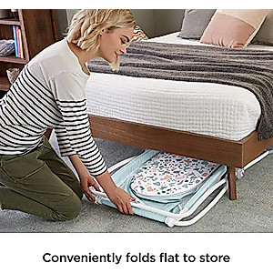 Fisher-Price Baby Crib Rock With Me Bassinet Portable Cradle With Mesh Sides And 1 Toy, Folds For Travel, Pacific Pebble