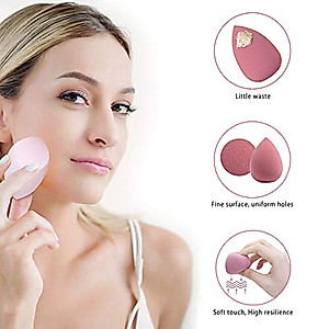 5 Pcs Makeup Sponges Blender Set - 4 Pcs Professional Beauty Sponge Foundation Blending Blender with 1 Sponge Holder and Egg Case, Flawless for Cream, Powder and Liquid (Pink)