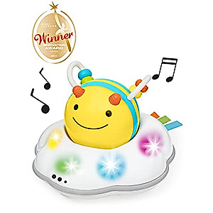 Skip Hop 3-Stage Developmental Learning Crawl Toy, Explore & More Follow-Me Bee