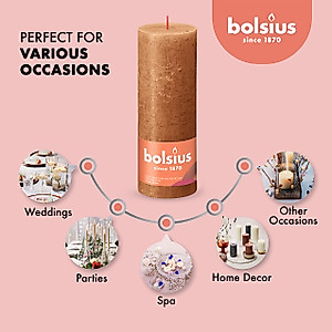BOLSIUS 4 Pack Spice Brown Rustic Pillar Candles - 2.75 X 7.5 Inches - Premium European Quality - includes Natural Plant-Based Wax - Unscented Dripless Smokeless 85 Hour Party Décor Candles