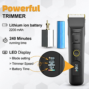 Brio Beardscape V2 Beard Trimmer for Men Professional with Low Friction Ceramic Blade, Cordless Professional Hair Trimmer for Barbers with 4 Hrs of Long Battery Timing, Ideal for Beard & Body (Black)