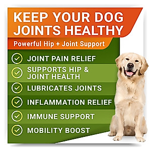 STRELLALAB 120Ct Hemp Glucosamine + 120Ct Glucosamine Treats for Dogs Bundle - Joint Pain Relief + Advanced Mobility - Hemp Oil, Chondroitin, MSM + Omega-3 Fish Oil - Hip & Joint Care - Made in USA
