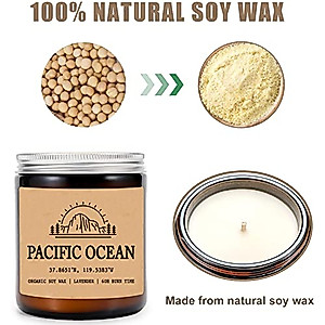 Pacific Ocean - California Scented Candle - Organic Soy Wax - Gift for Her - Gift for Him - New Home Gifts - Birthday Gift for Friend - National Park Gifts - State Candles
