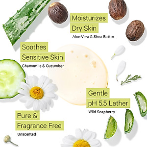 Tree to Tub Unscented Body Wash for Sensitive Skin & Dry Skin - Moisturizing pH Balanced Fragrance Free Body Wash, Hydrating Sulfate Free Body Soap for Women & Men w/Organic Shea Butter, Natural Aloe