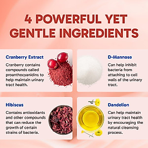 Clinical Effects UT Support - Natural Cleanse and Urinary Tract Health Support - D-Mannose, Dandelion, Hibiscus and Cranberry Pills for Women - 60 D Mannose Capsules - Made in The USA