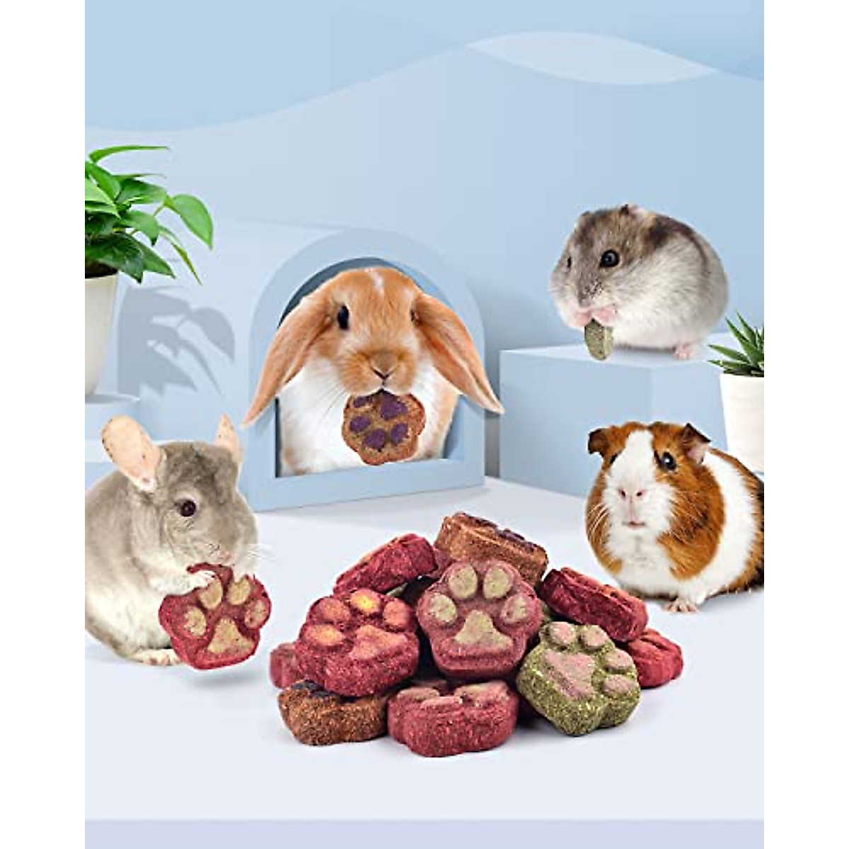 Bissap 20PCS Bunny Chew Toys, Mixed Natural Timothy Hay Rose Carrot Fruit Chinchillas Chewing Toys and Treats for Rabbits Bunnies Guinea Pigs Hamsters Gerbils and Other Small Animals Molar Snacks