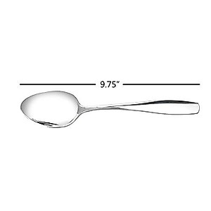 Ggbin Stainless Steel Dinner Buffet Serving Spoons, 9.75 Inches, Set of 6