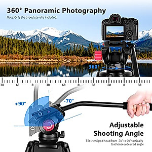 NEEWER 79”/200cm Video Tripod, Heavy Duty Aluminum Alloy Camera Tripod Stand with 360°Fluid Drag Head, QR Plate Compatible with Canon Nikon Sony and Other DSLR Camera Camcorder, Load Up to 17.6lb/8kg