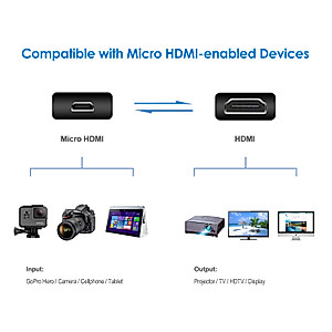 Rankie Micro HDMI Male to HDMI Male Cable, Compatible with GoPro Hero, Canon/Nikon/Sony Camera, 6 Feet (Black)