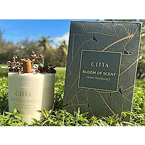 Christmas Pine Cone Flowers Scented Candles Soy Wax Aromatherapy Candle Romantic Pillar Candle Christmas Decorations For Home (Citrus Grape)