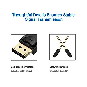 Rankie DisplayPort (DP) to DVI Cable, Gold Plated, 10 Feet