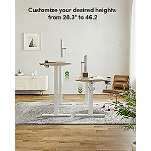 BANTI 55"x24" Standing Desk, Electric Stand up Height Adjustable Home Office Table, Sit Stand Desk, Light Rustic Brown Top