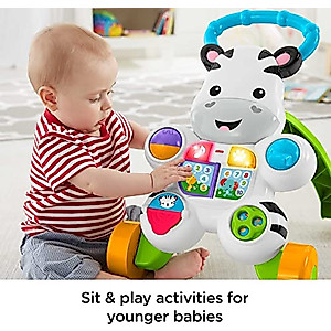 Fisher-Price Baby Learning Toy Learn With Me Zebra Walker With Music Lights And Fine Motor Activities For Ages 6+ Months